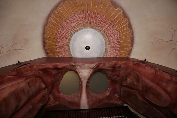 Corpus Museum in Netherland – A Voyage Through The Human Body | Amusing ...